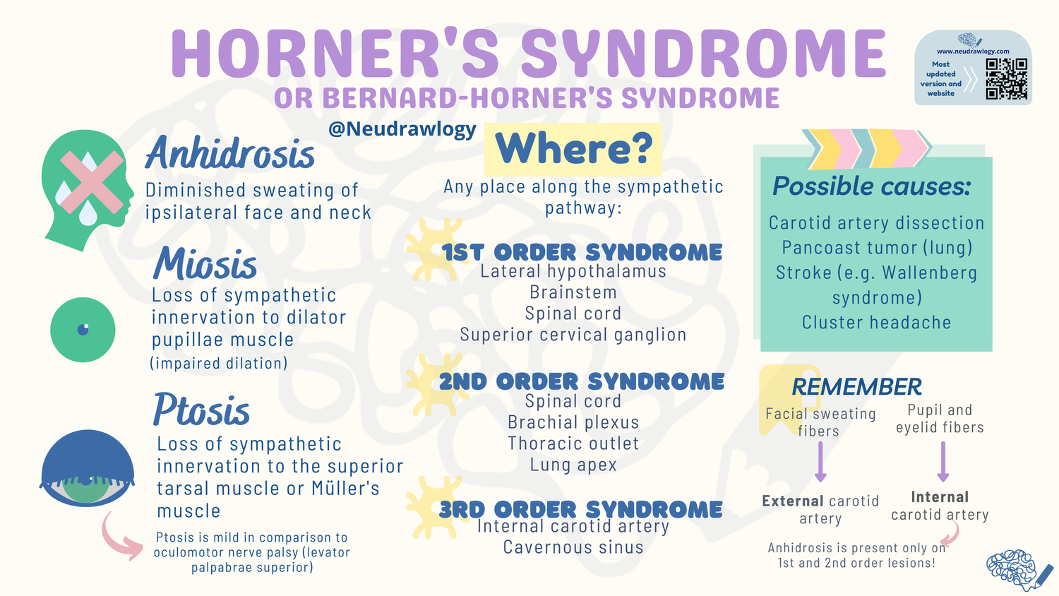 Neurological syndromes — Neudrawlogy: Simplifying Neurology