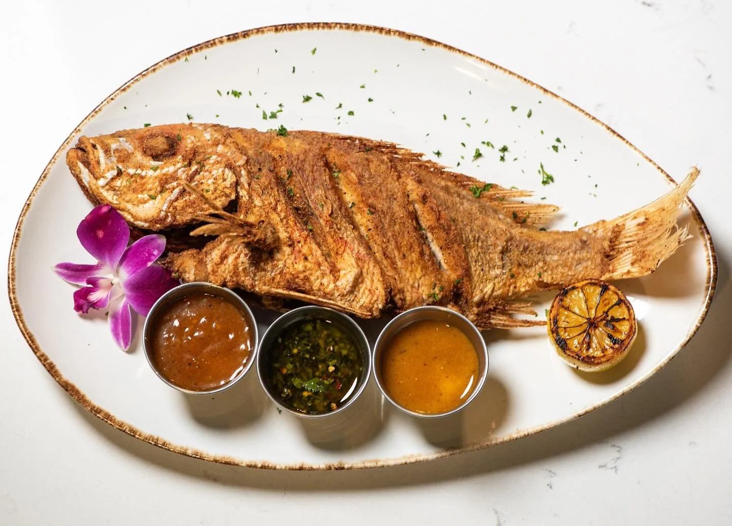 Miami Vibes Dining | Dallas Vibe Dining