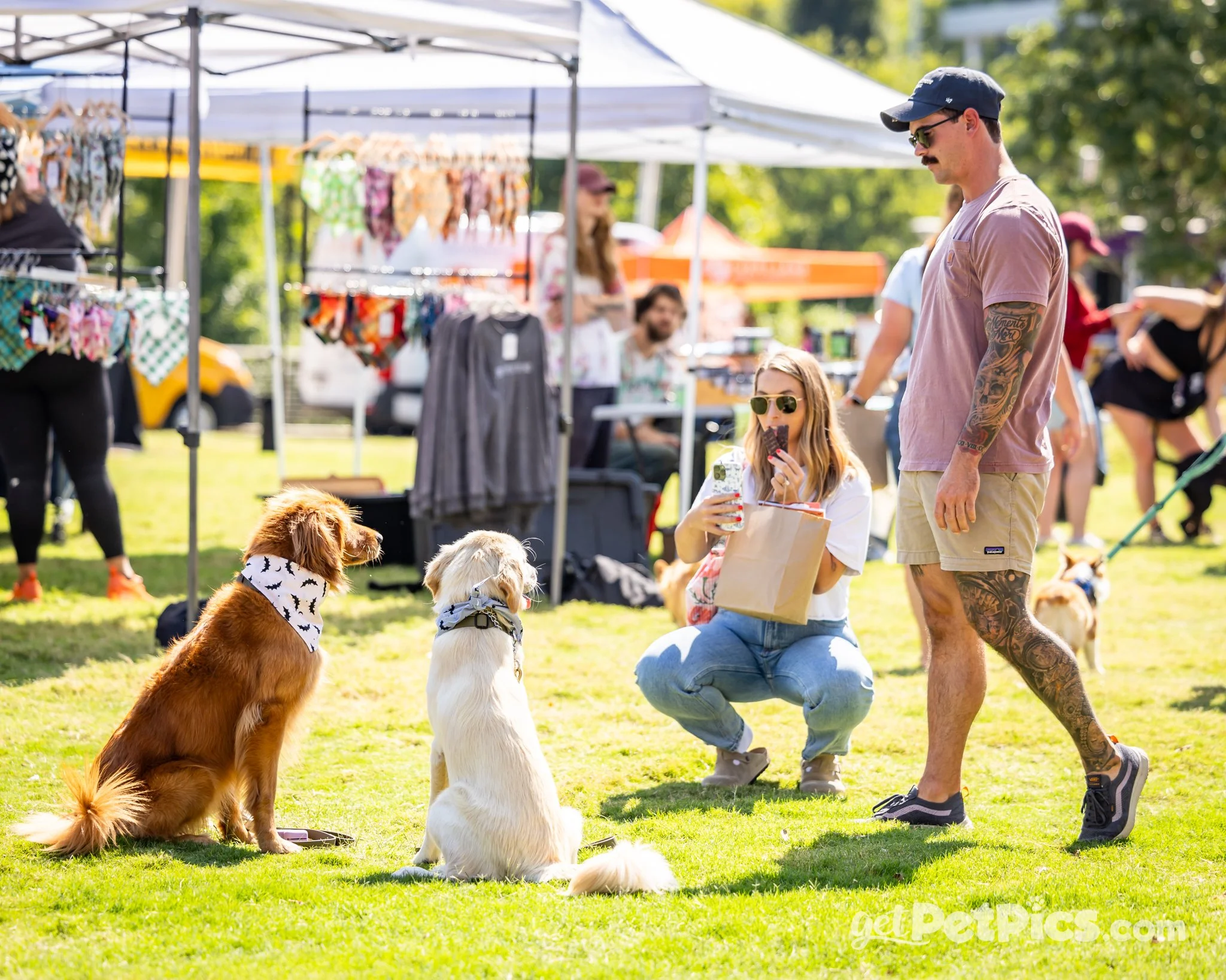 Sweepstakes Pups — 615 Festivals