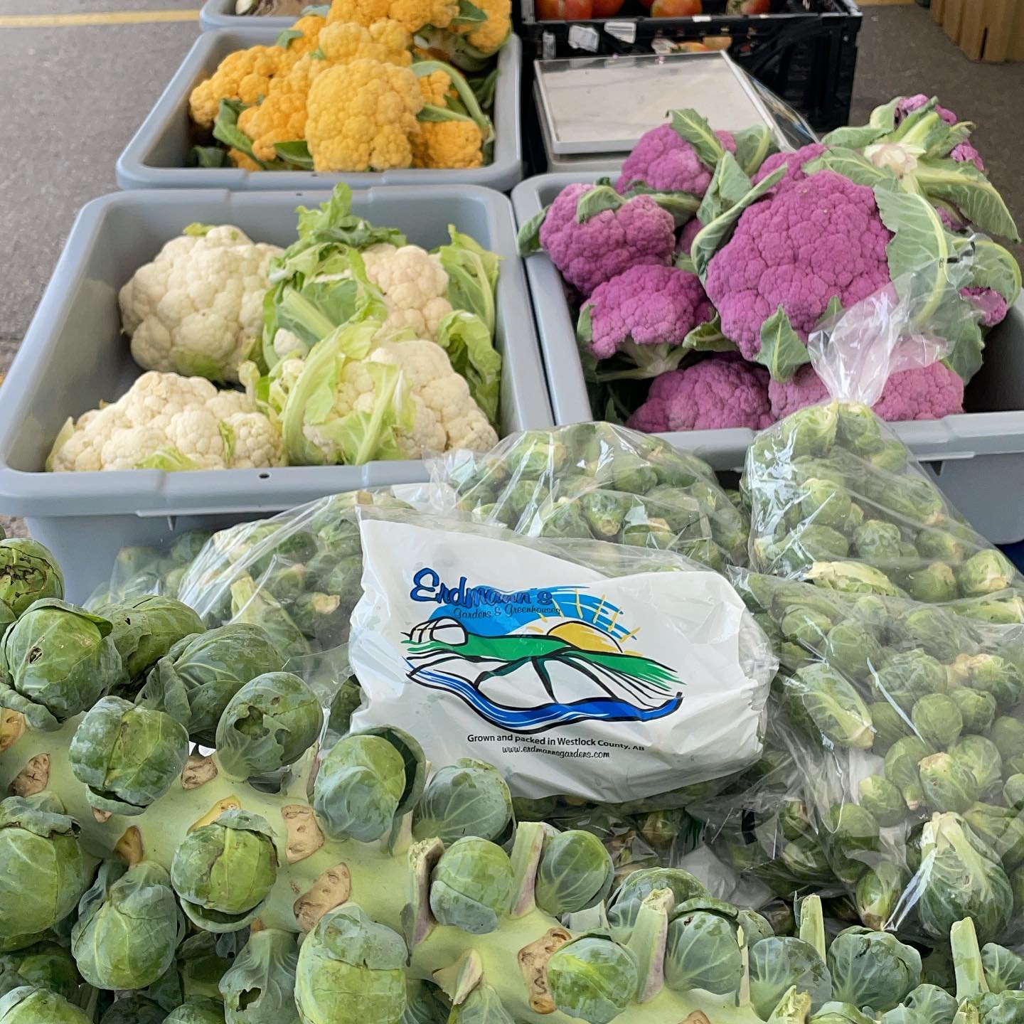 Market Map — Callingwood Farmers Market