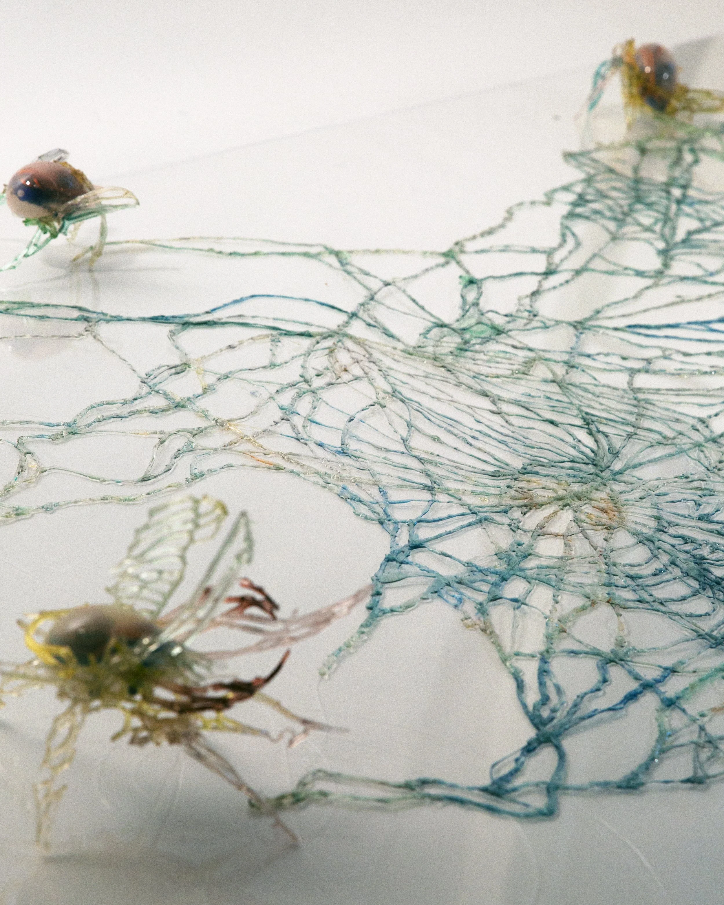 STUDIO SCARLETT YANG