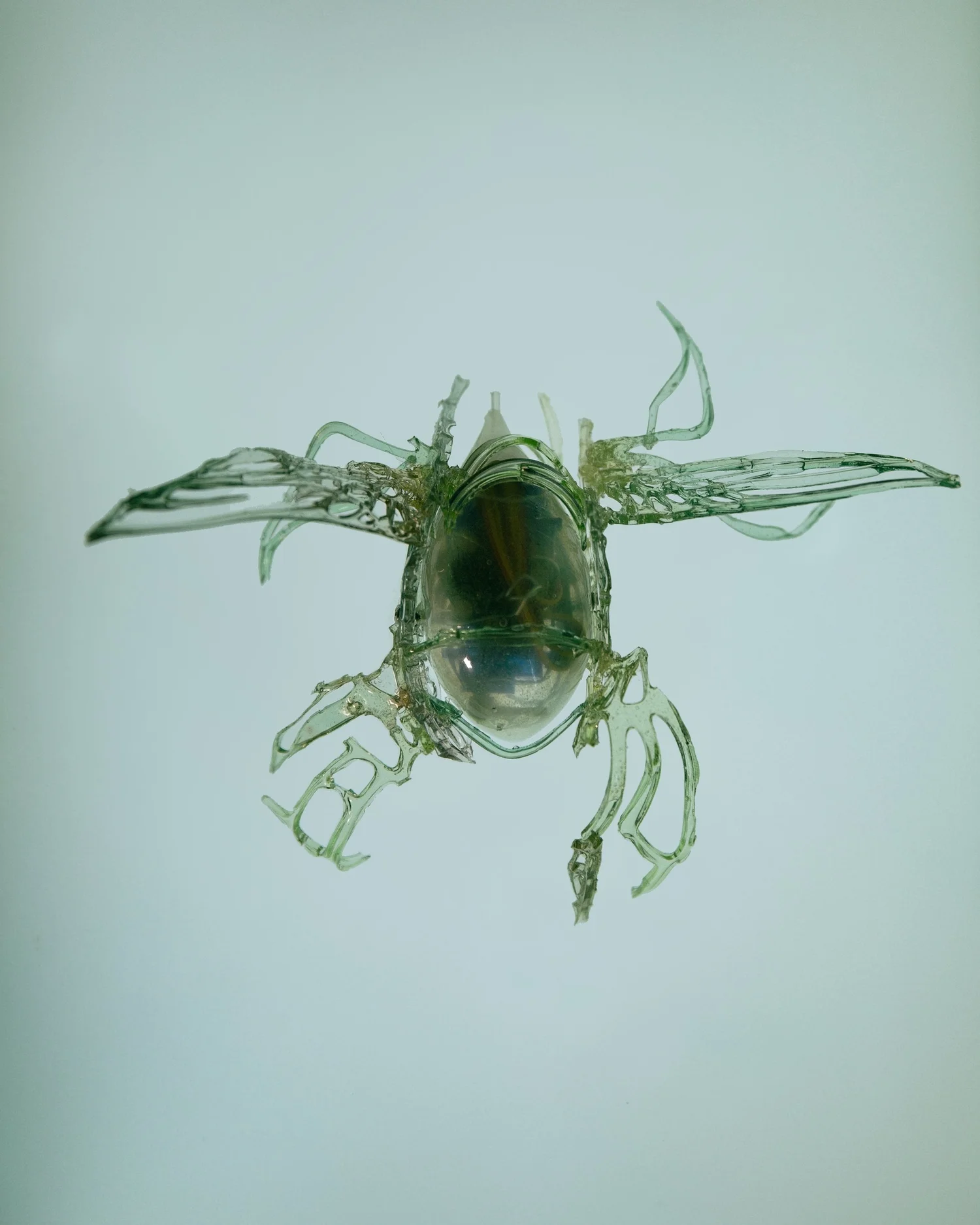 STUDIO SCARLETT YANG