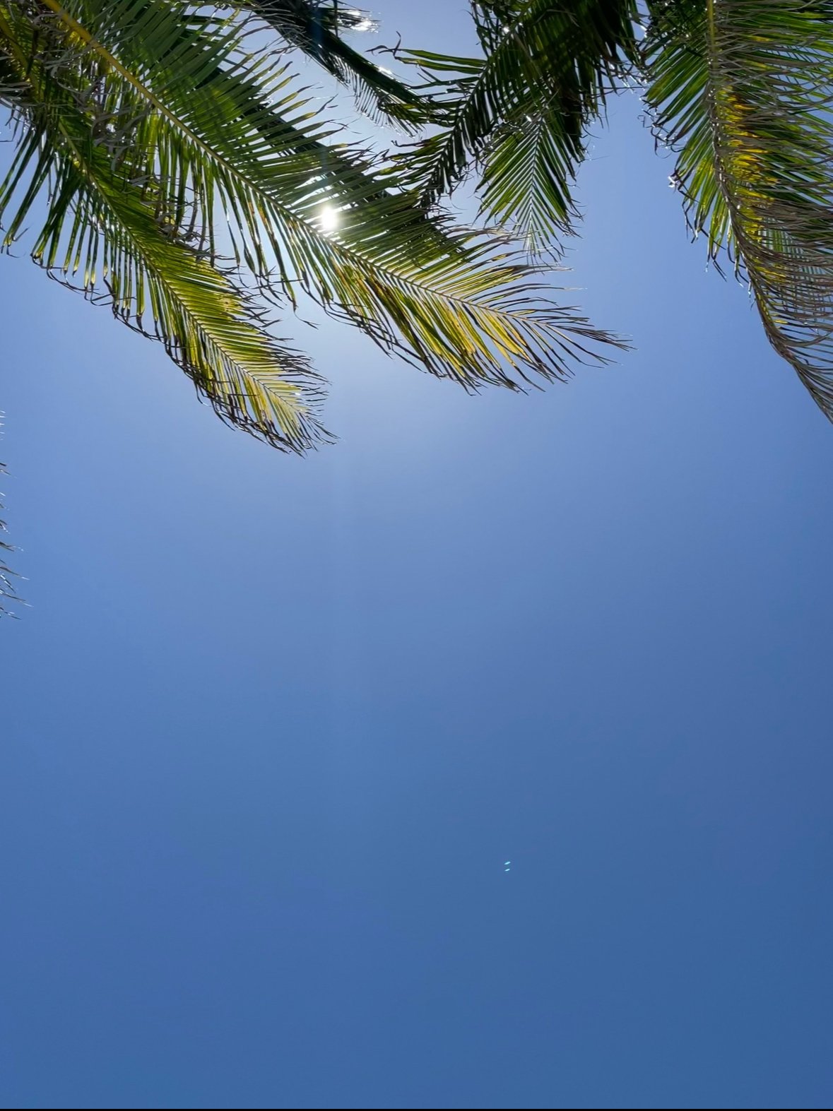 Cinco Sentidos Yoga Retreat — Emily Dalgo, RYT-200