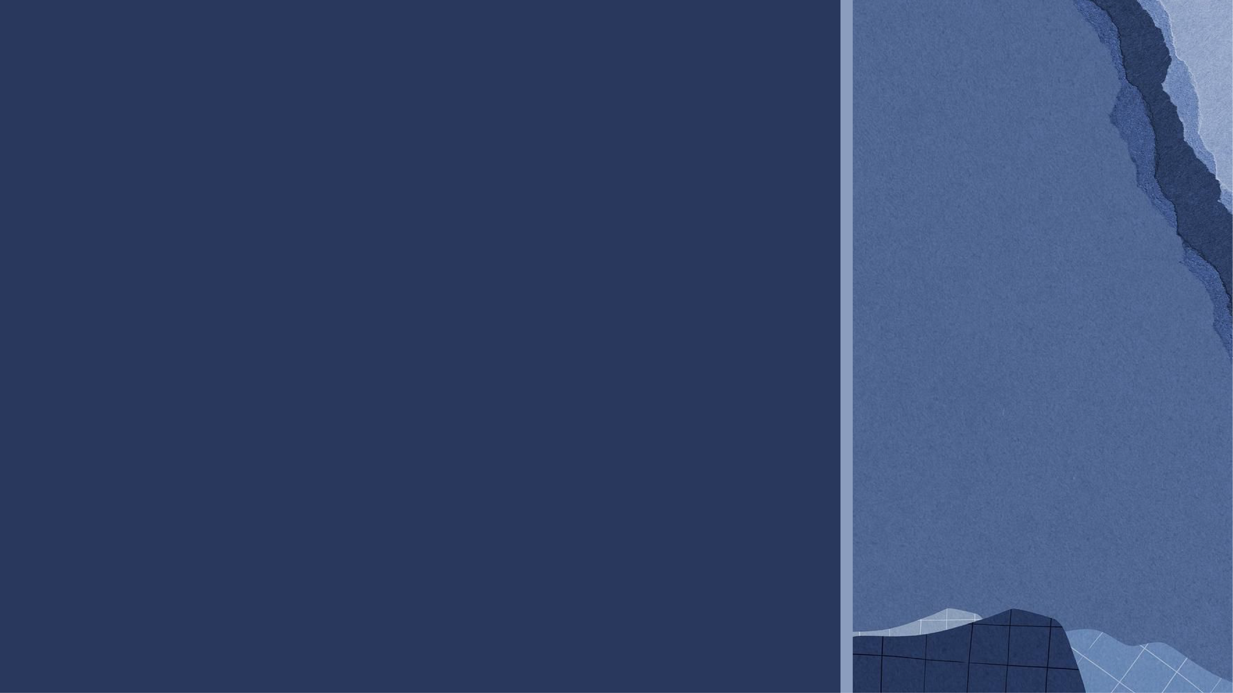 Wholehearted Ministries