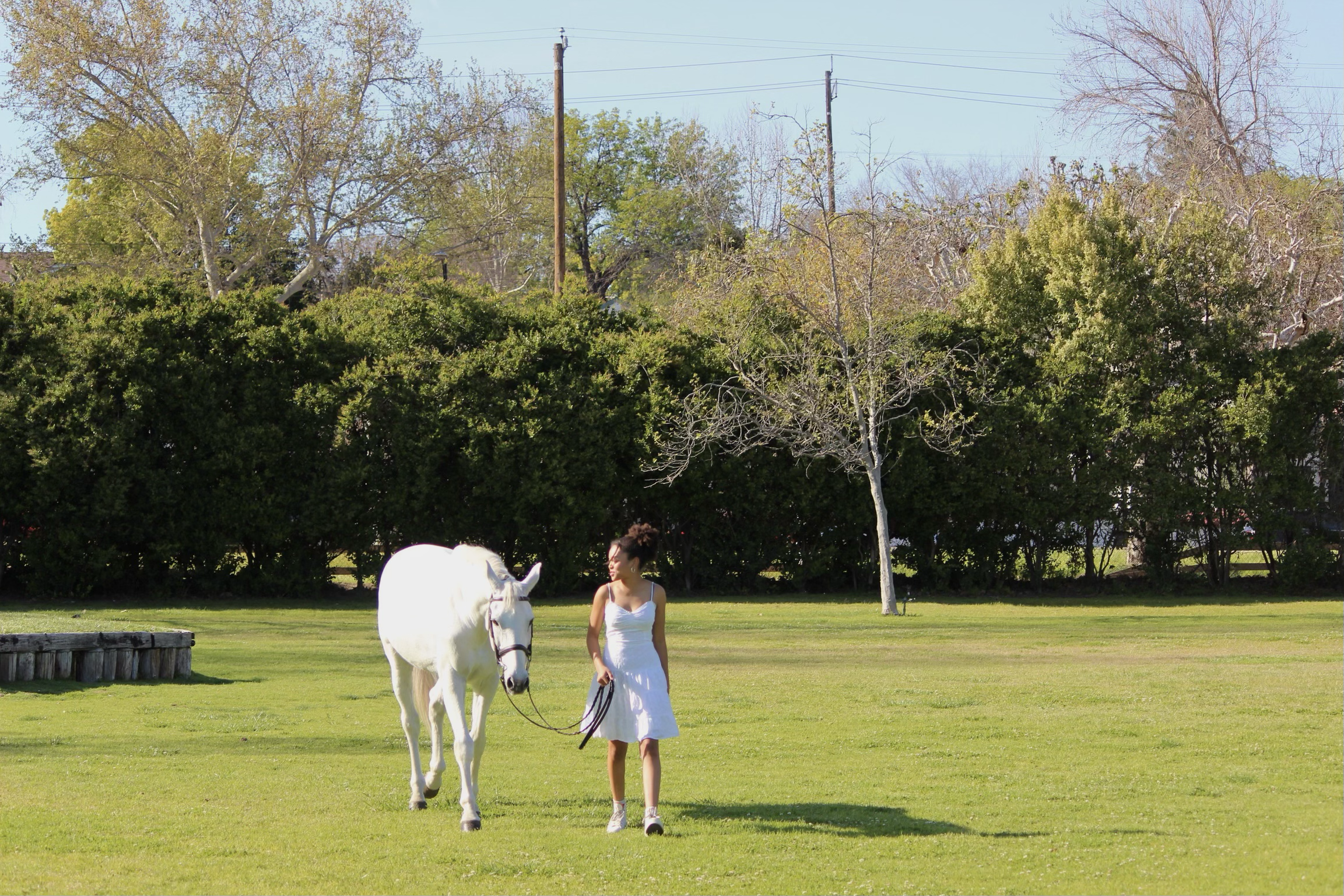 Hunter/Jumper Training Services — Sovereign Place
