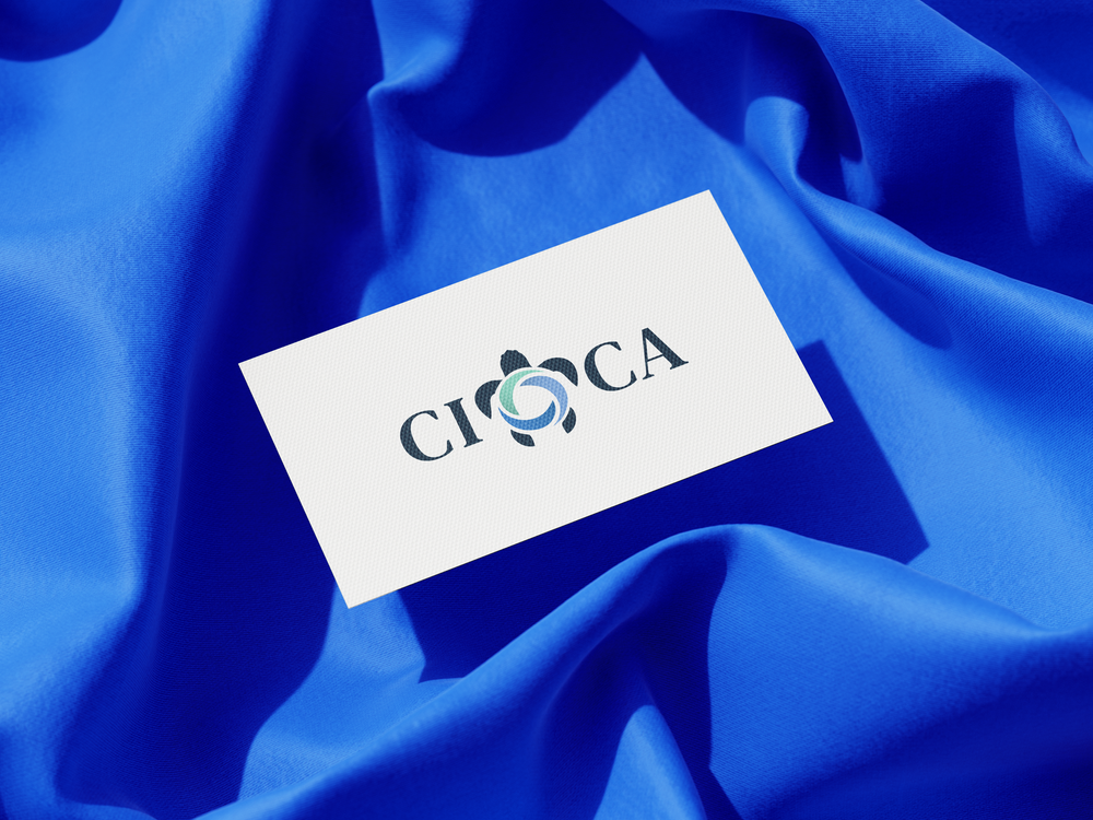 Pixie Creative | Bespoke Branding and Web Design