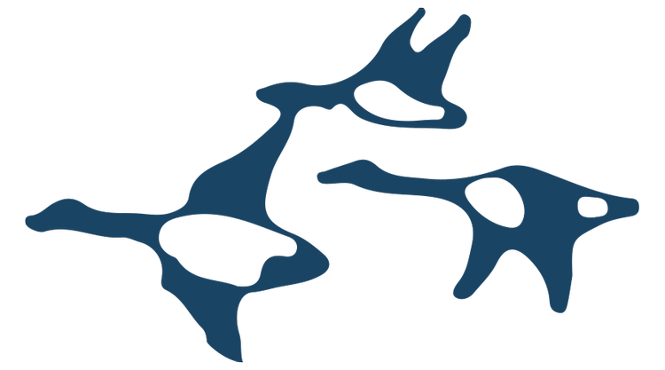 Mission & History — Little Compton Community Center