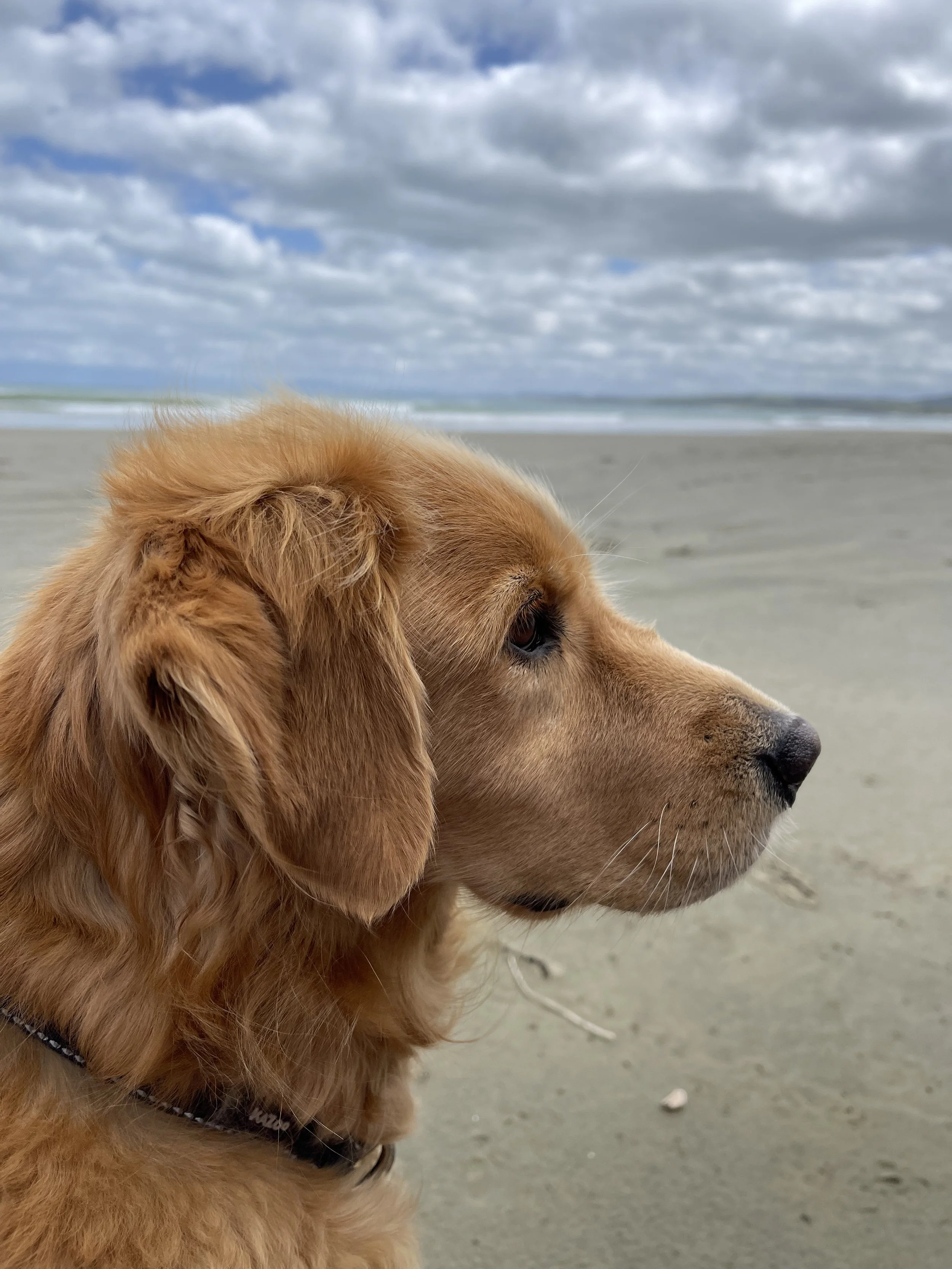 The Team | Geotago | Engineering Geology