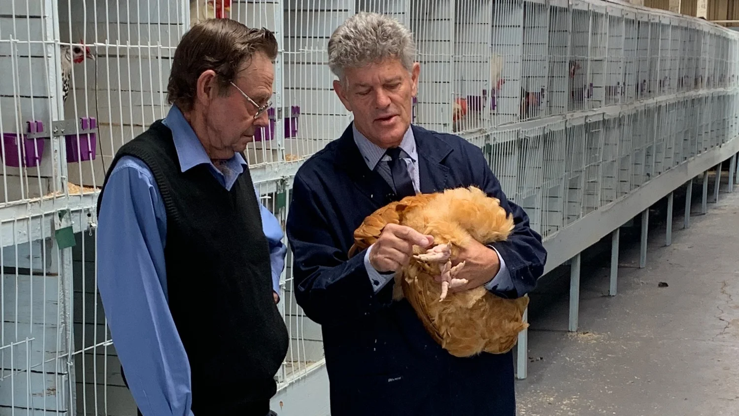 Lismore Poultry Club