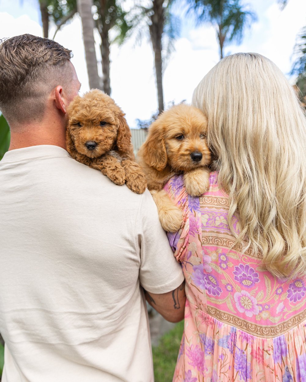 Apply For A Puppy! — Gold Coast Groodles