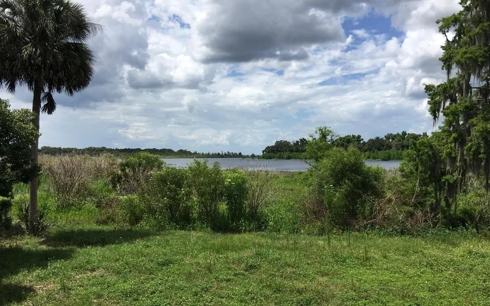 We Buy Land Georgia — Sell My Land Fast Online USA | 1 (800) 467-4077 ...