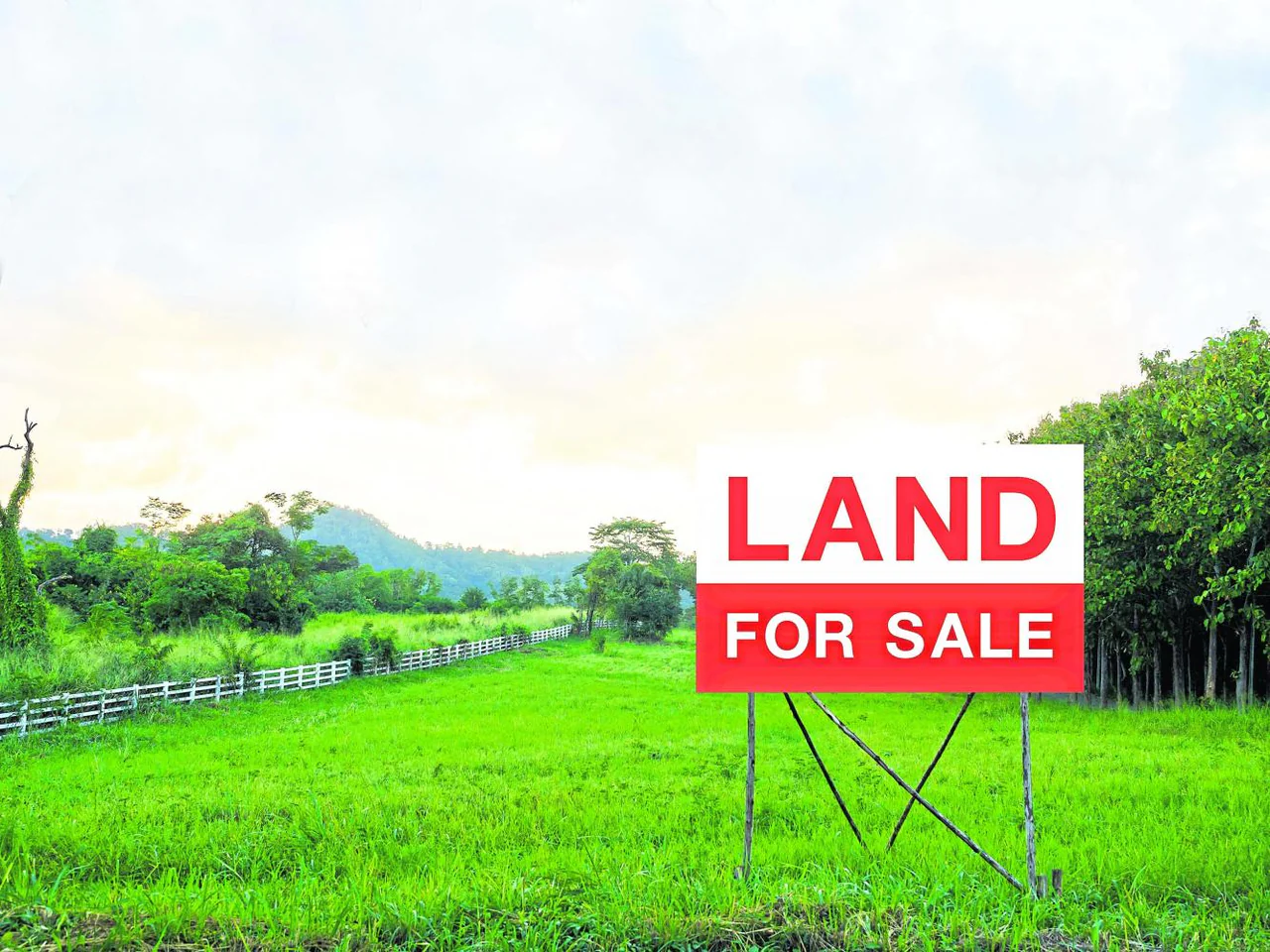 Contact — Sell My Land Fast Online USA | 1 (800) 467-4077 | We Buy Land ...