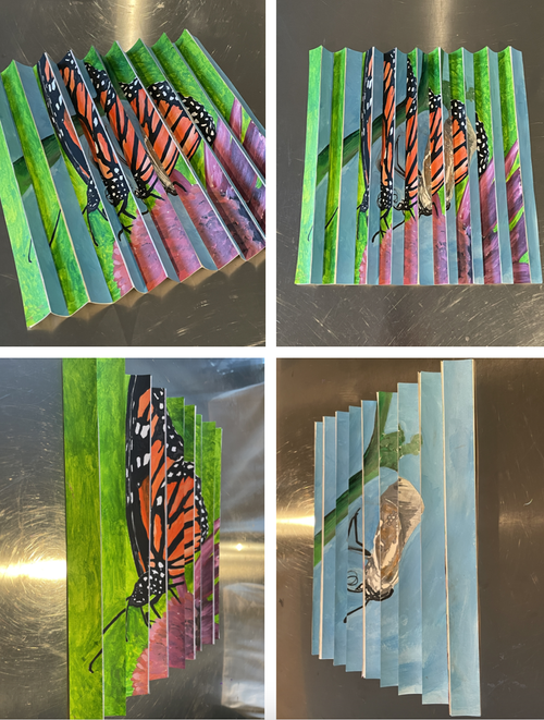 Metamorphosis Agamographs — Clay Pots & Polka Dots