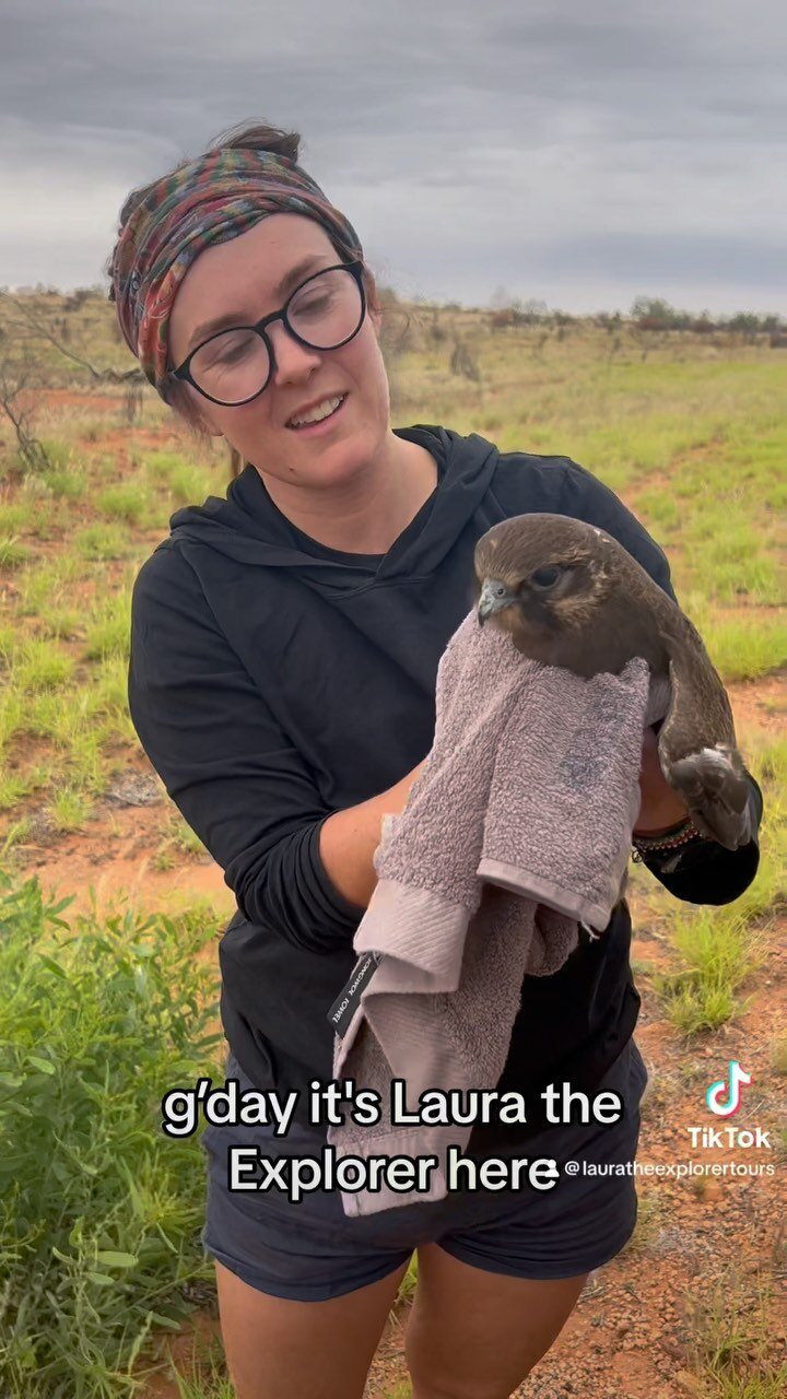 Laura the Explorer Tours