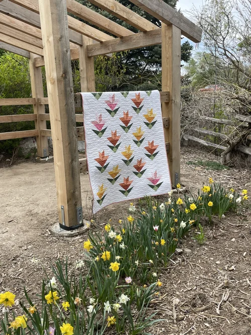 Store 2 — Shadow Valley Quilts