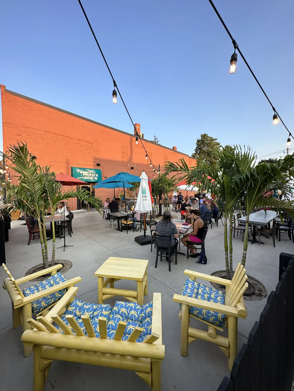 Contact 1 — Downtown Trini's & Margarita Joe's