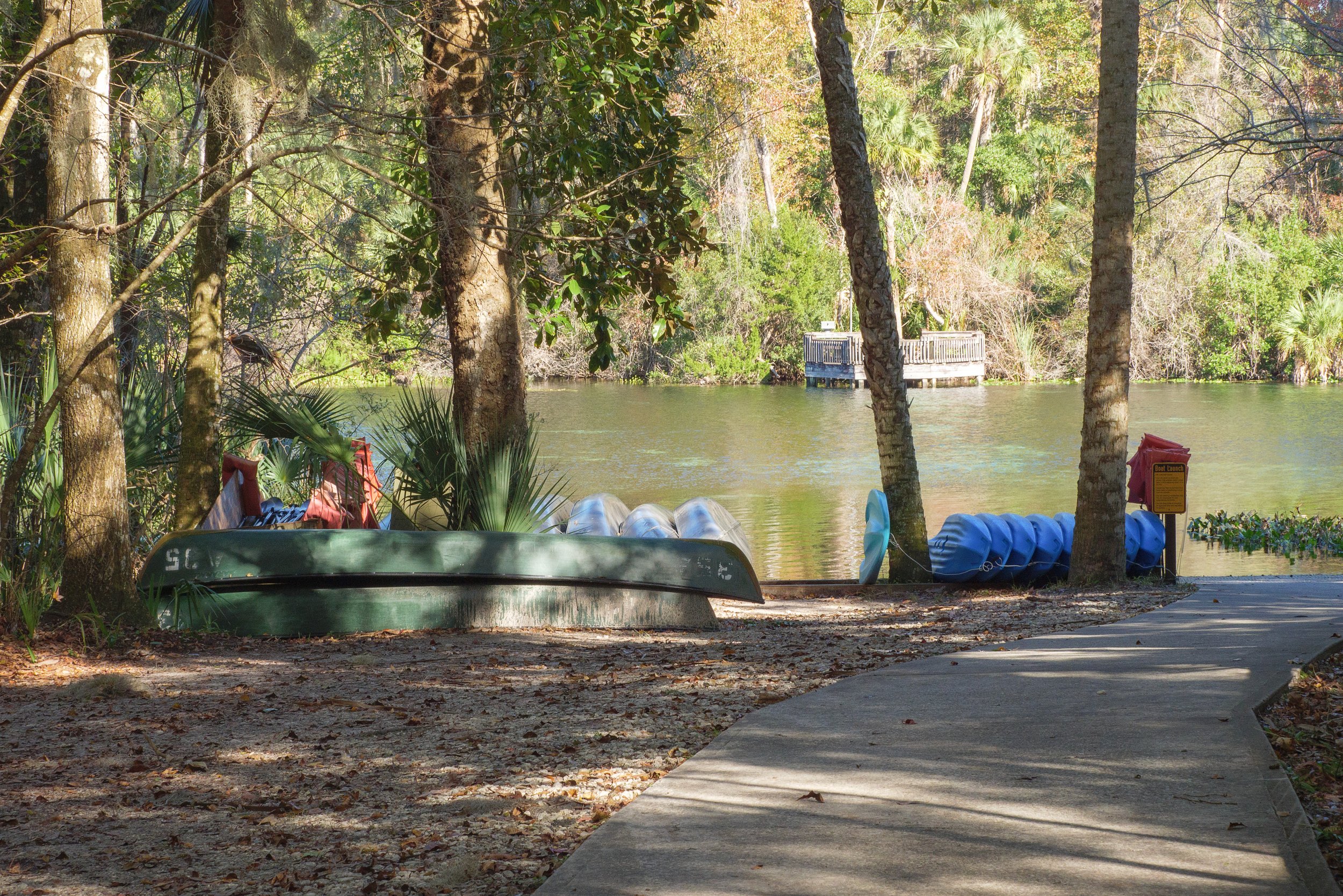 Alexander Springs Campground + Recreation Area — Naventure
