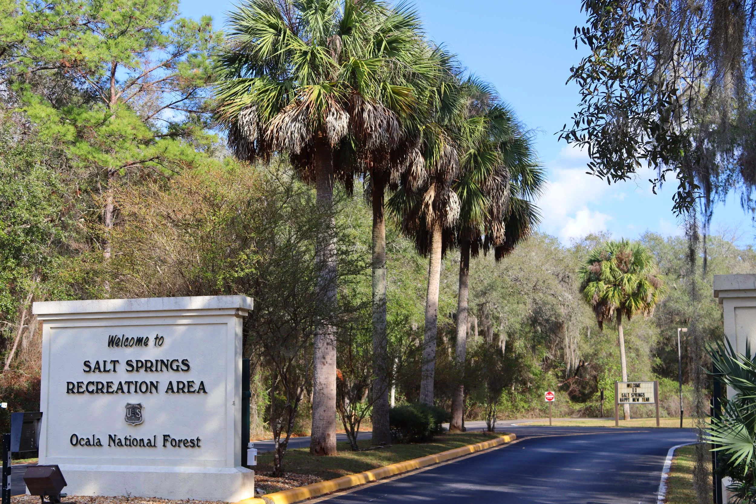Salt Springs Campground + Recreation Area — Naventure