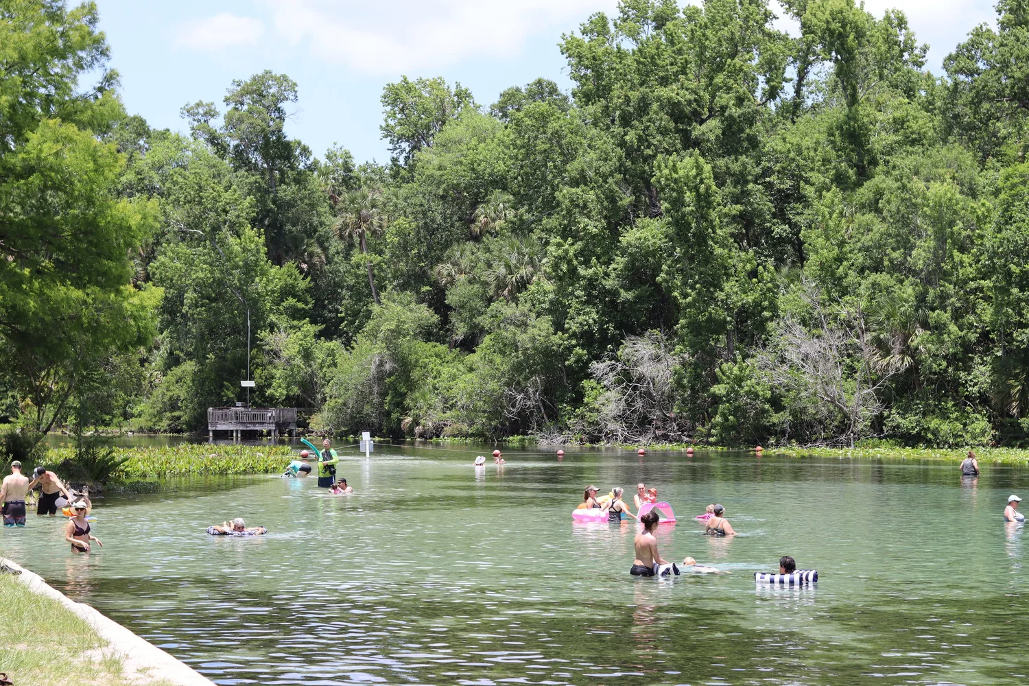 Alexander Springs Campground + Recreation Area — Naventure