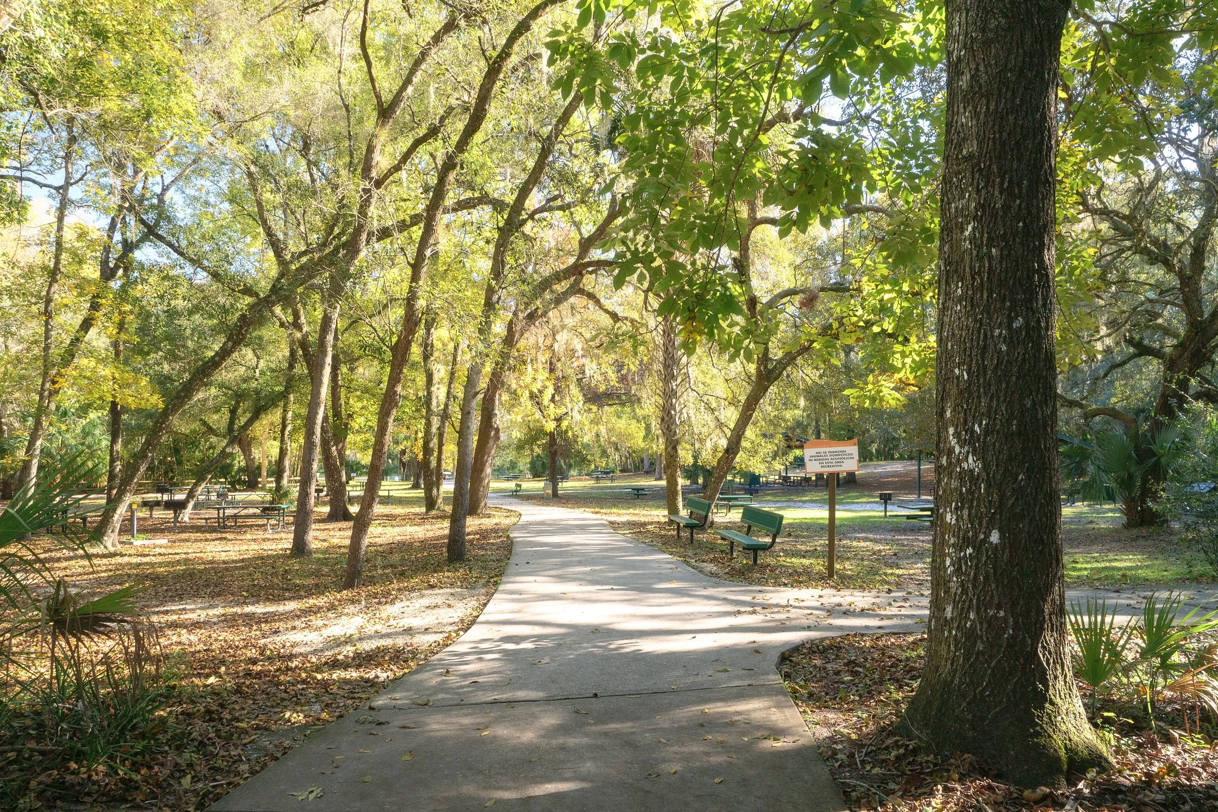 Alexander Springs Campground + Recreation Area — Naventure