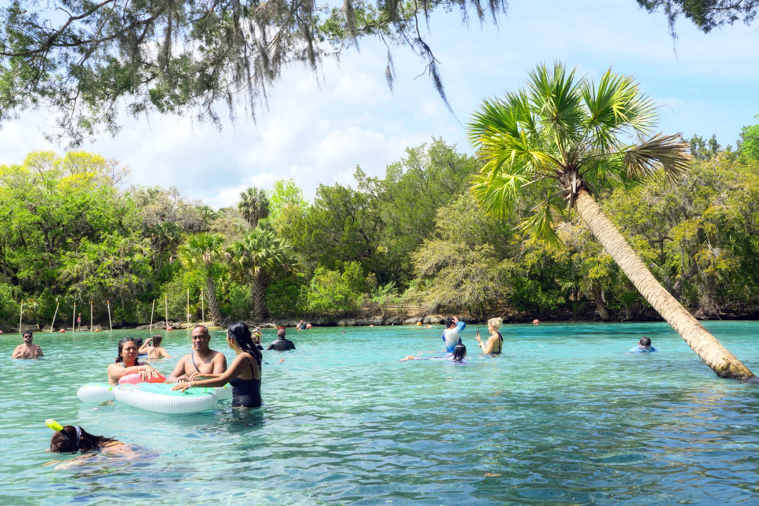 Silver Glen Springs Recreation Area — Naventure