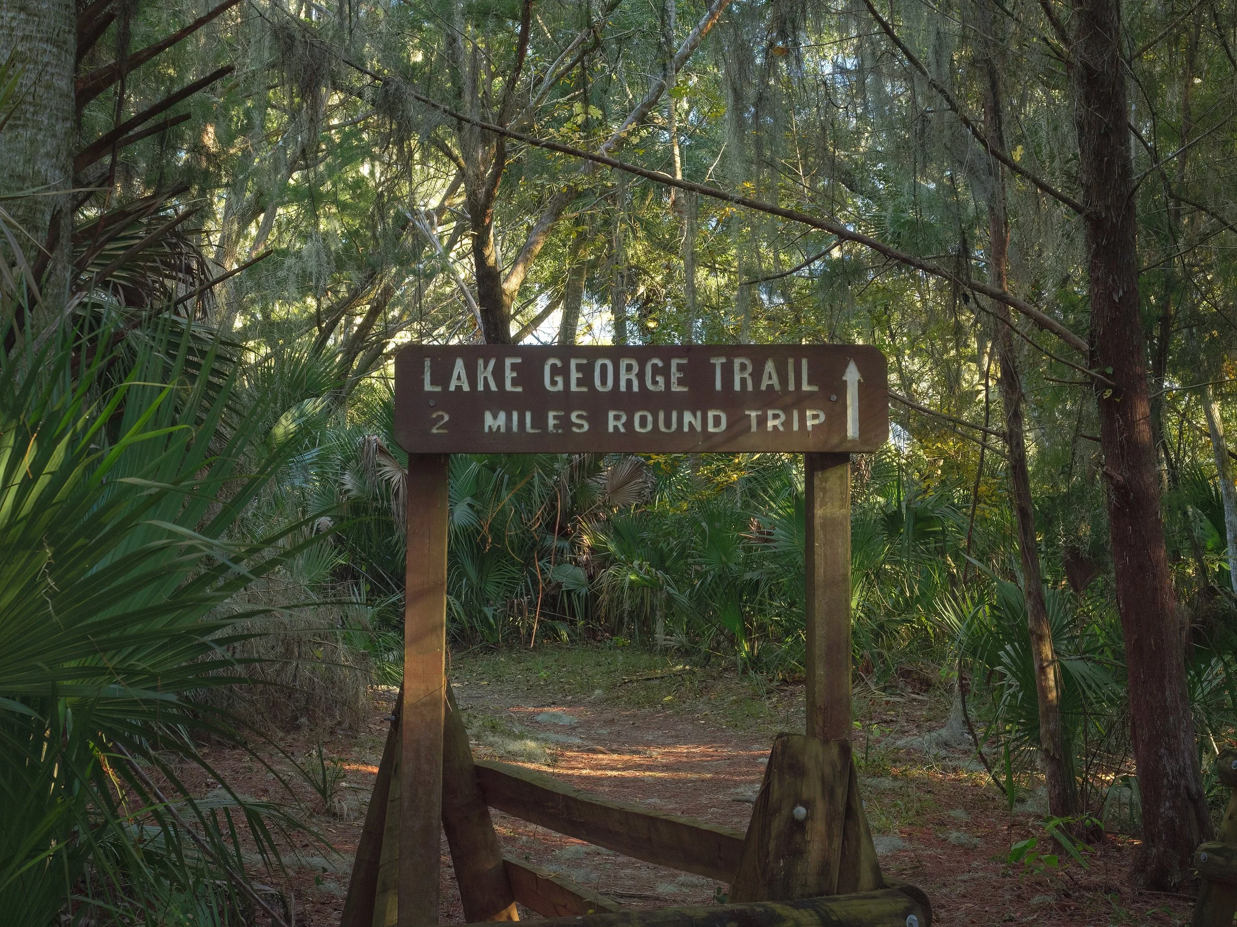 Silver Glen Springs Recreation Area — Naventure