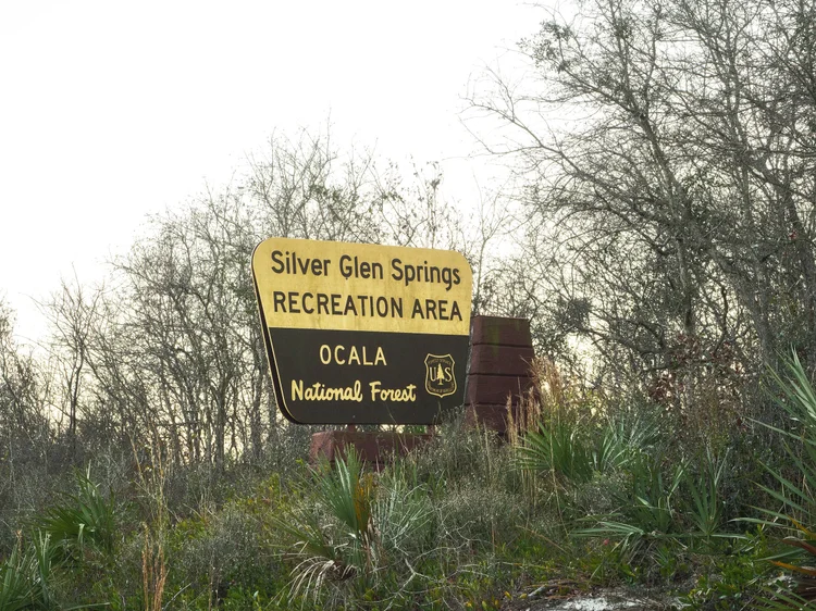 Silver Glen Springs Recreation Area — Naventure