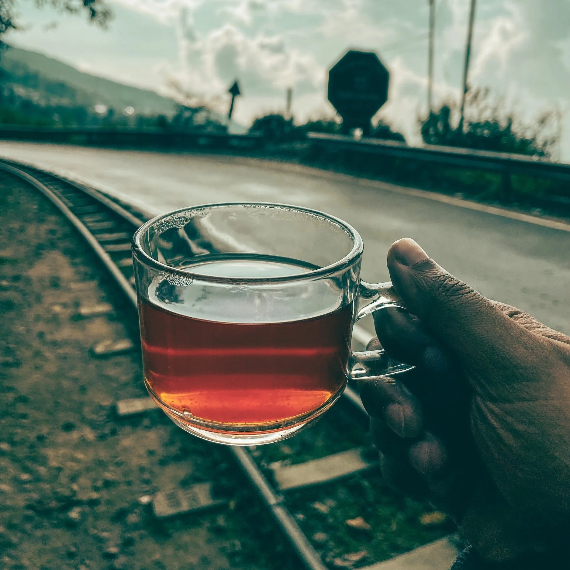 Darjeeling Tea: Origins, Flavor & Aroma — Rosie Loves Tea