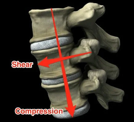 Understanding Spine Loads During Exercise: How to Train Smarter, Stay ...
