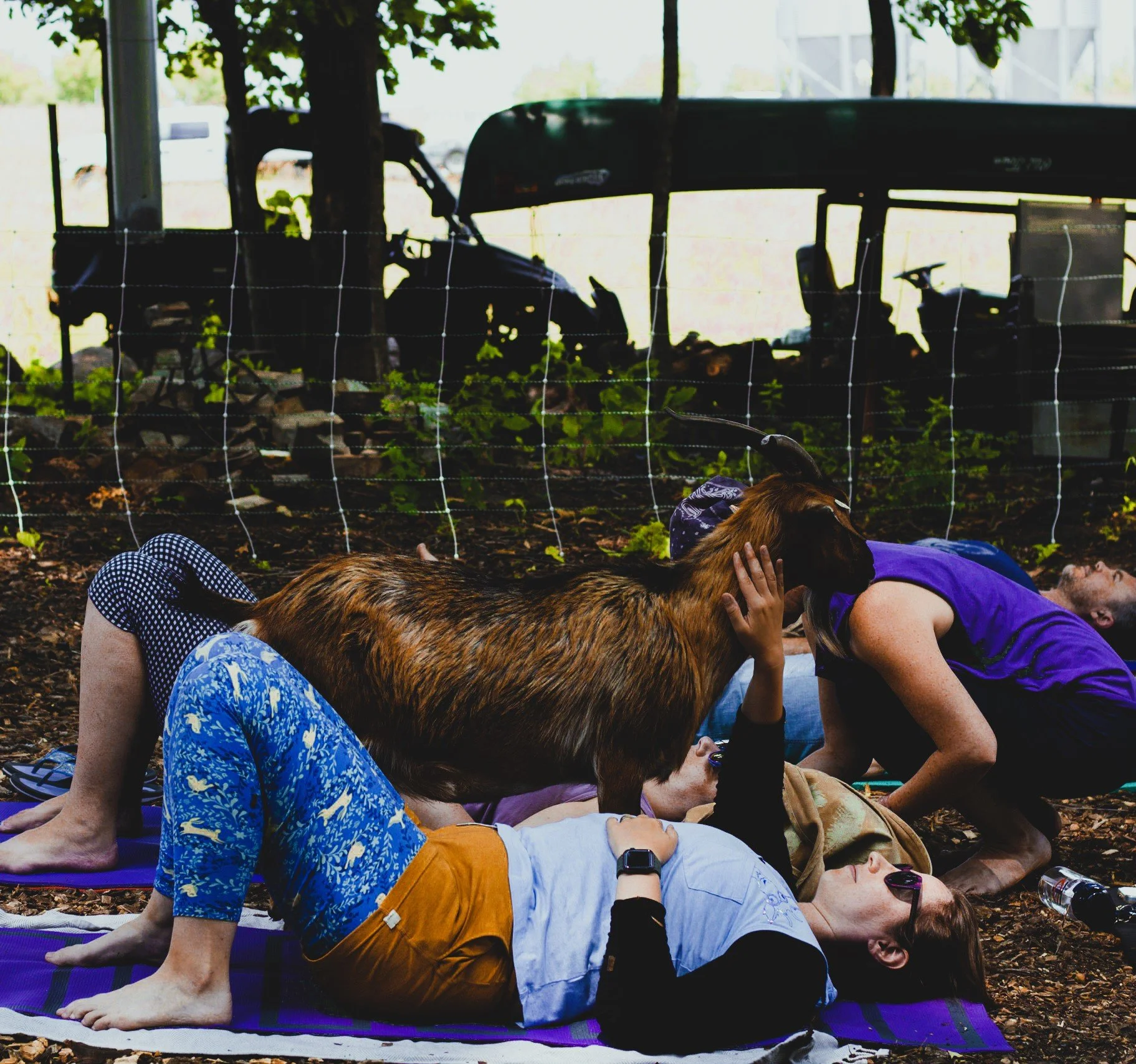 Big Woods Movement Collective