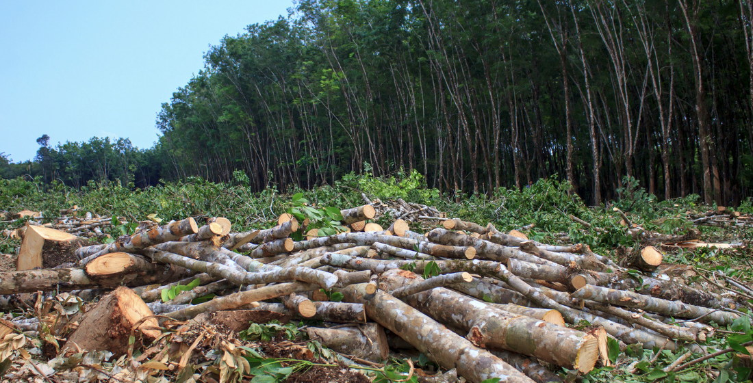 Top 5 Ways Fast Fashion Contributes To Climate Change | Fite Fashion