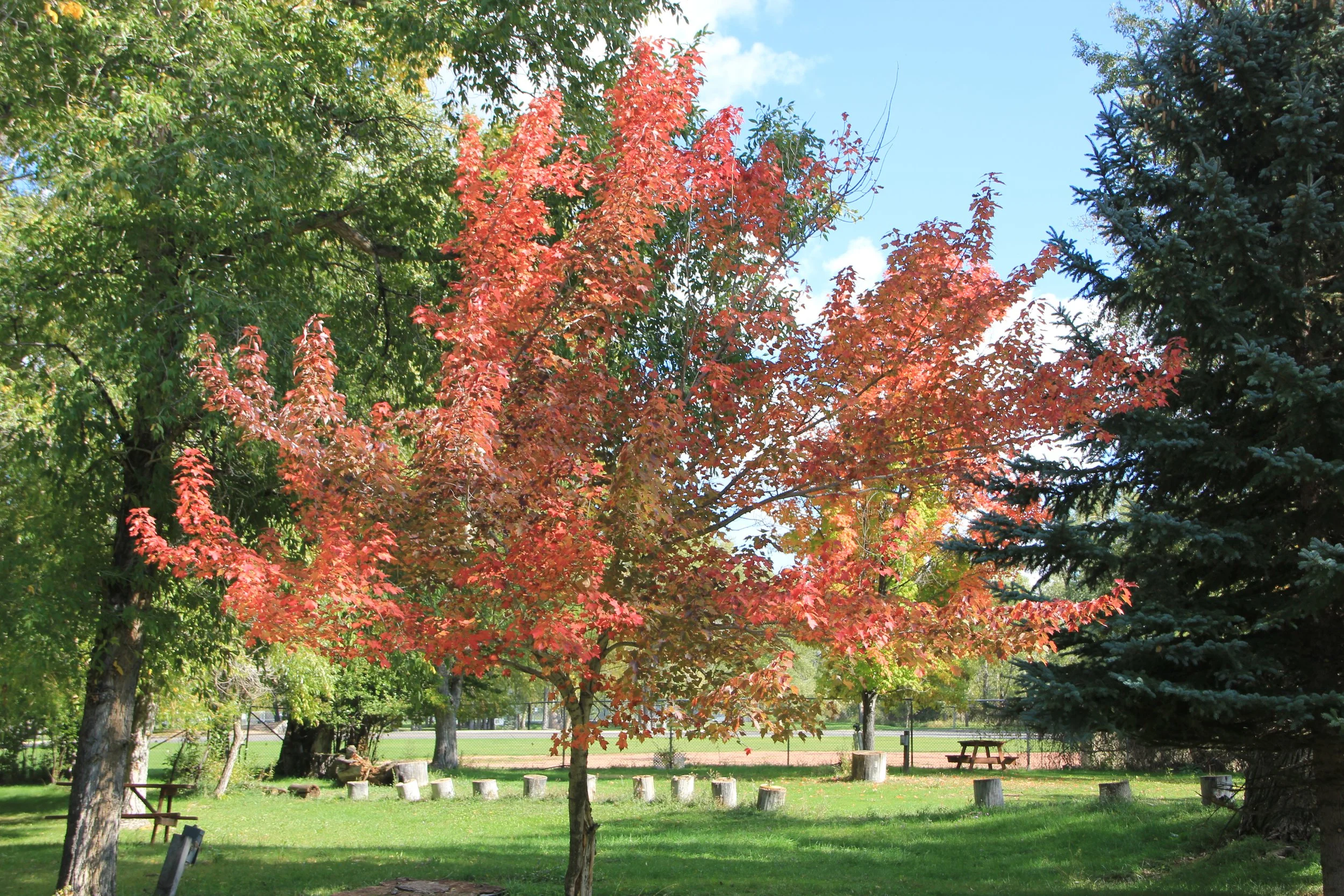 Foothills Campground | Discover Adventure Now