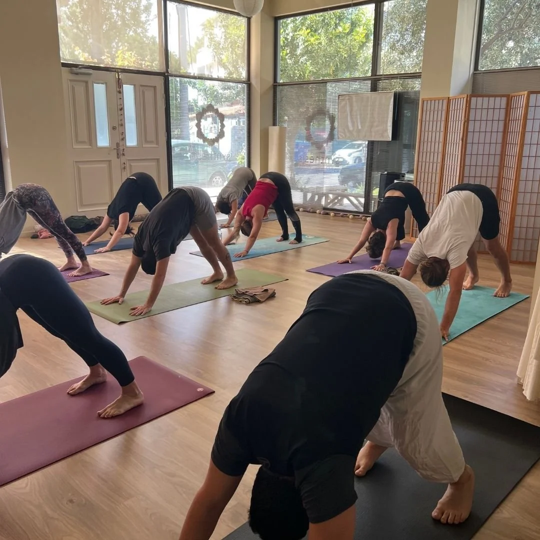 Yoga center - Wellness Hub Synthesis - Χαλανδρι