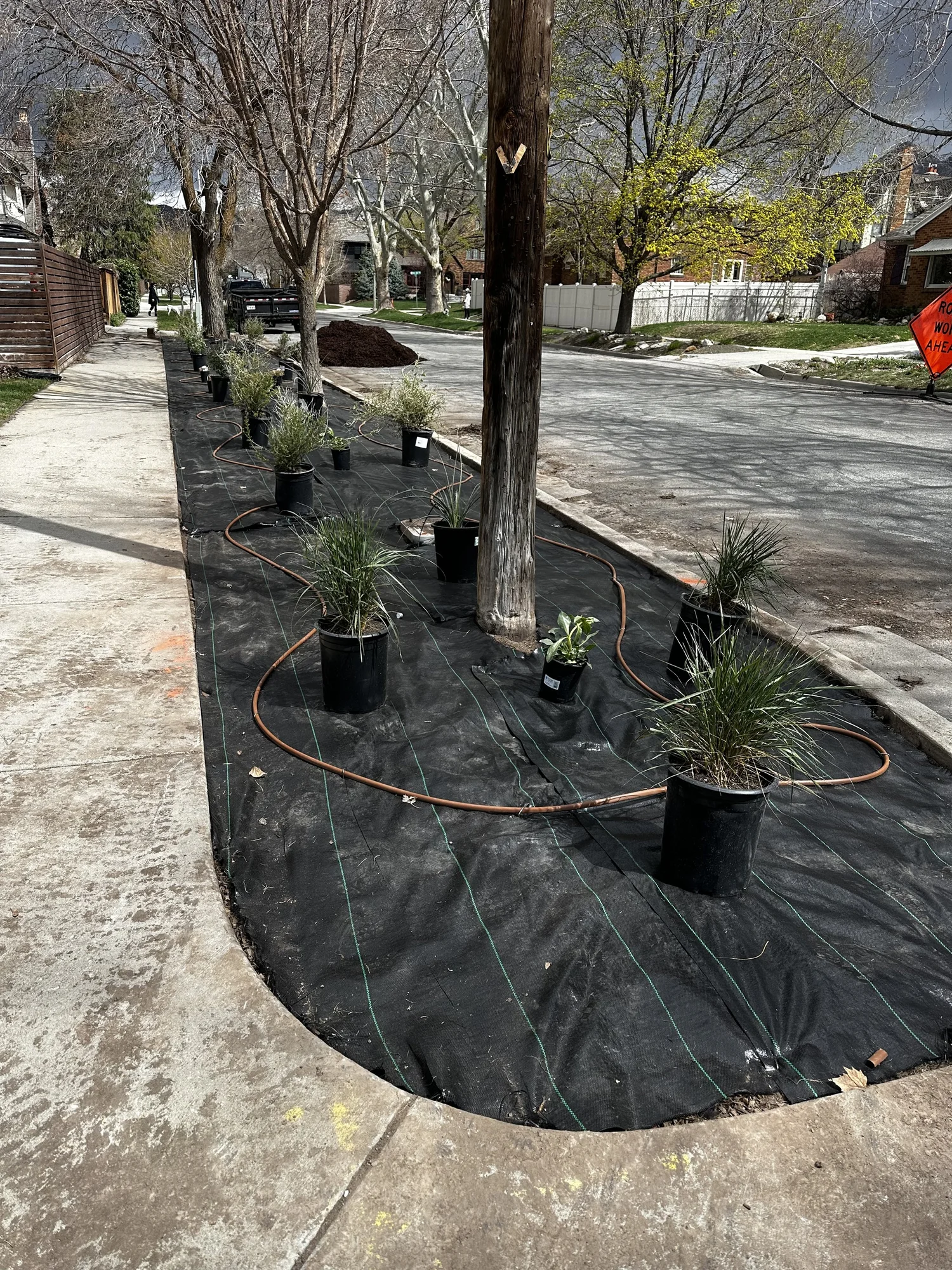 Park Strips — Honest Landscapes