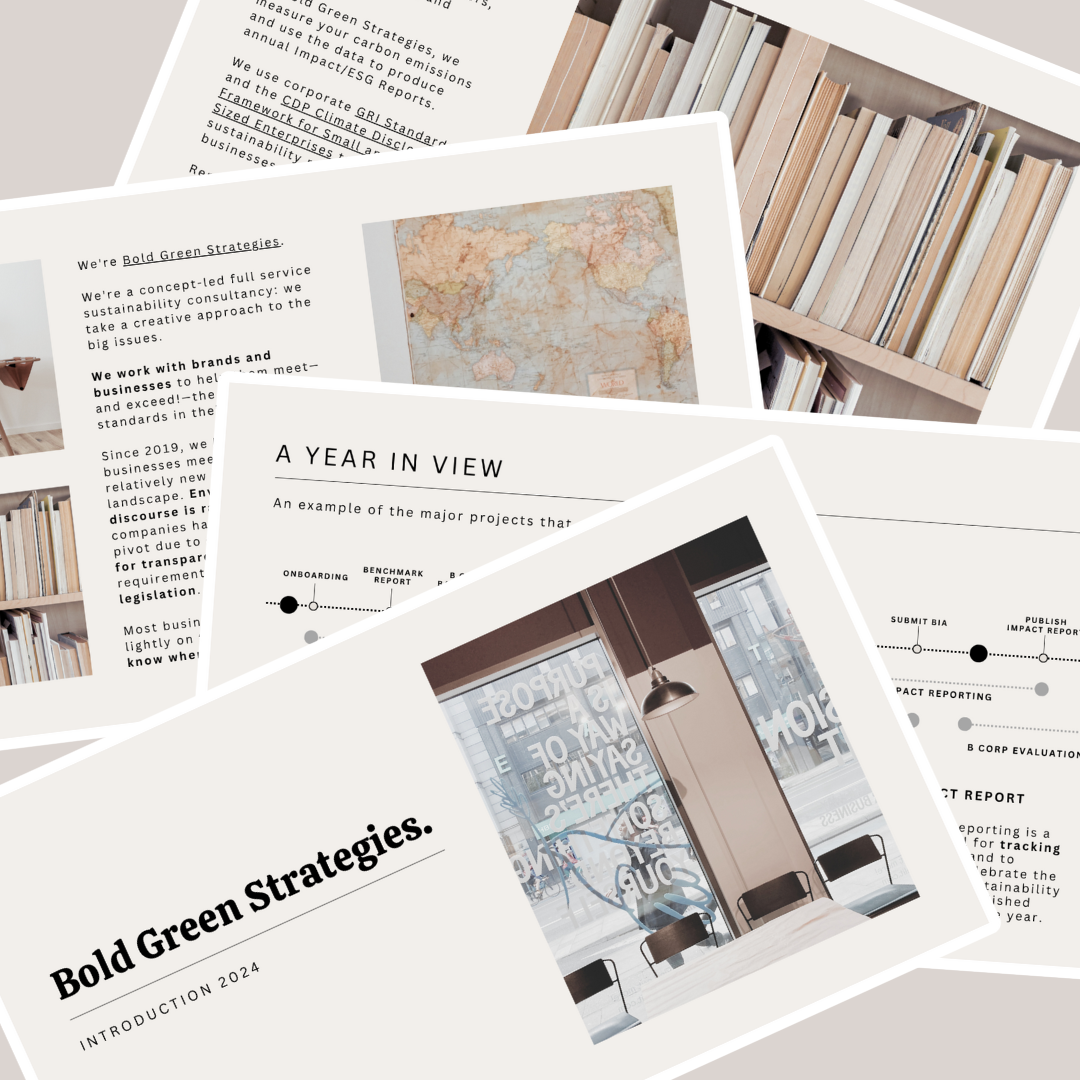 Bold Green Strategies | London Sustainability Consultancy