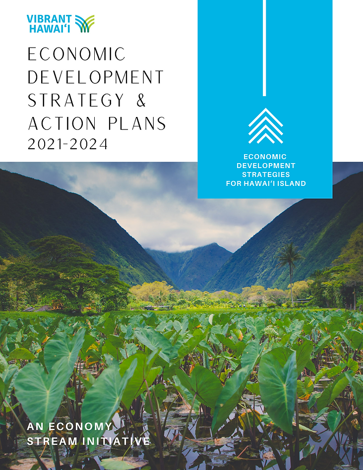 Economic Development Strategies — Council District 4