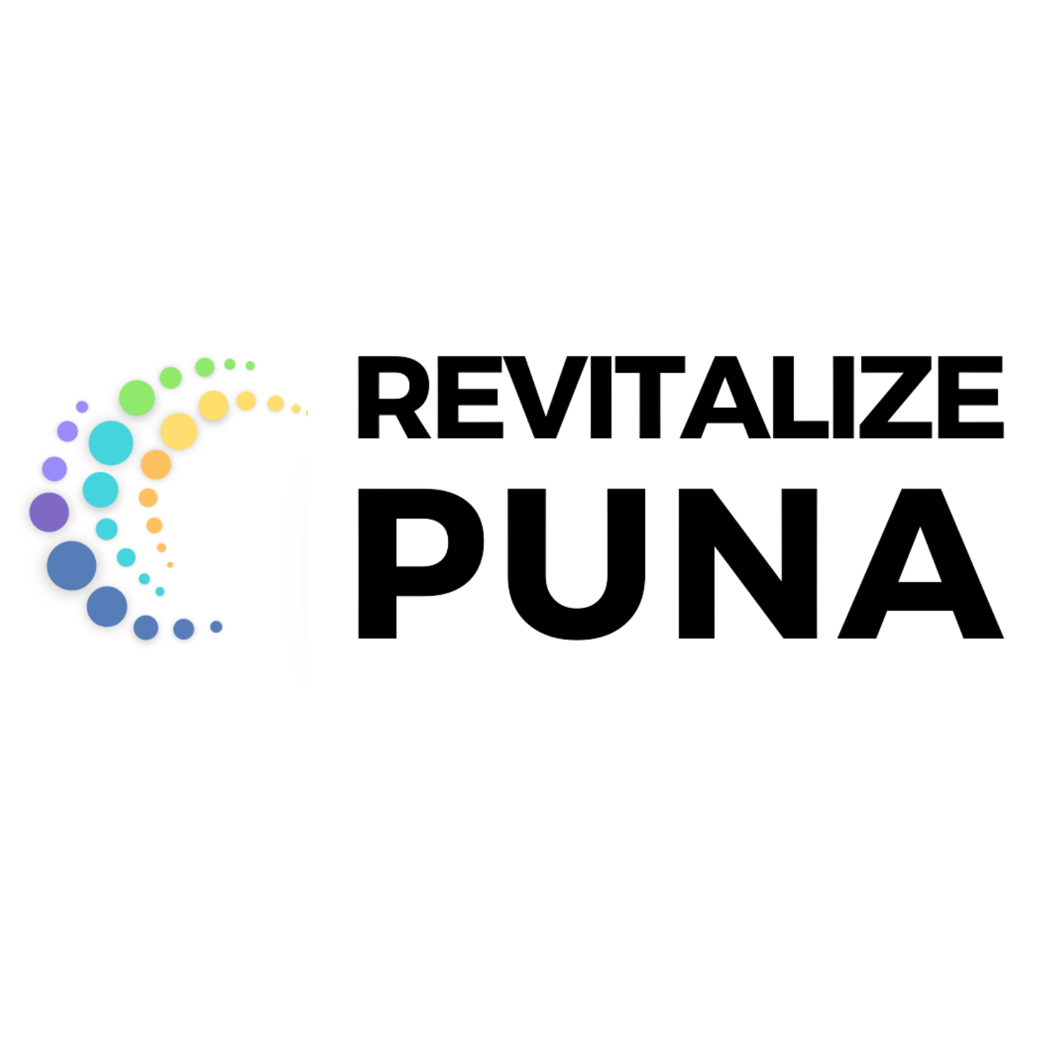 Revitalize Puna — Council District 4