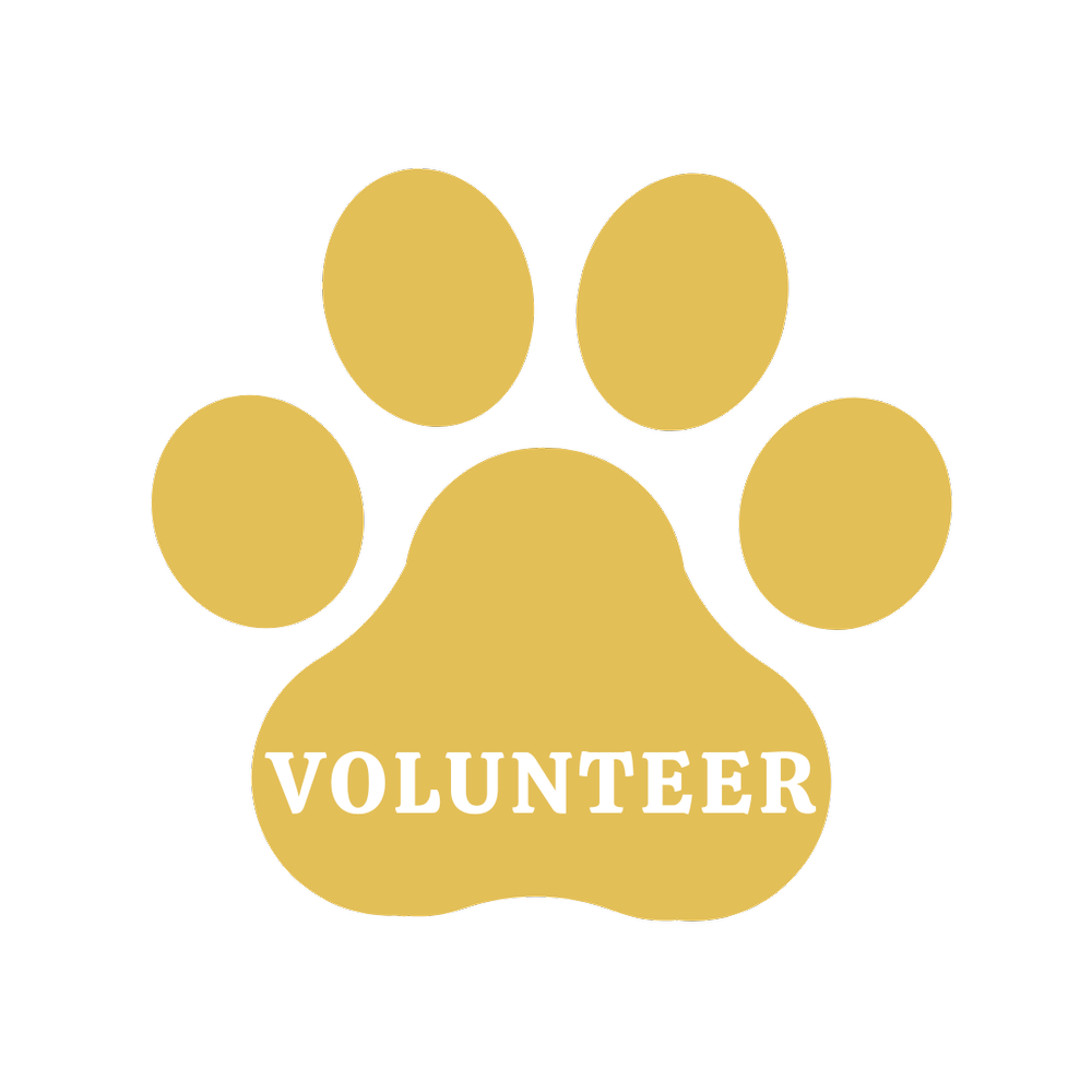 Forget-Me-Not Animal Rescue