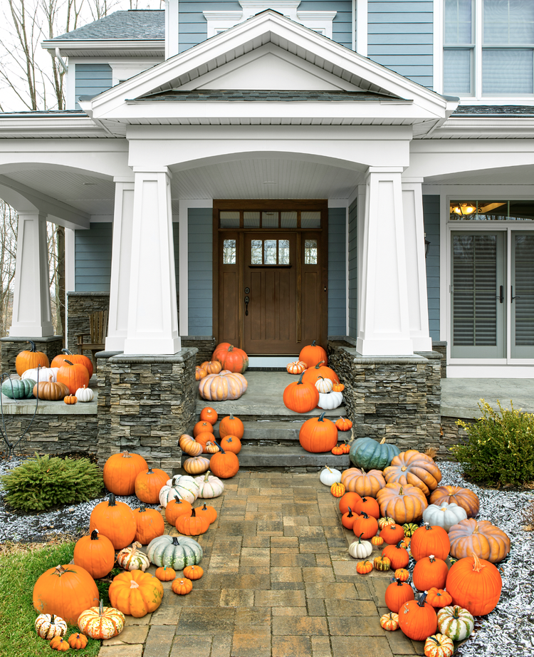 Porches and More