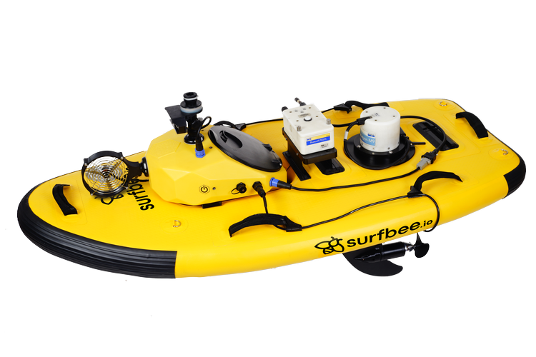 surfbee