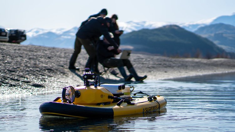 surfbee