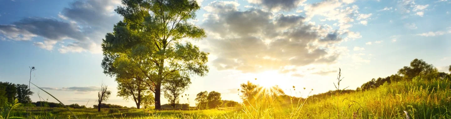 12 Step Reflections - Articles - The A.A. Daily Reflection - Just for Today