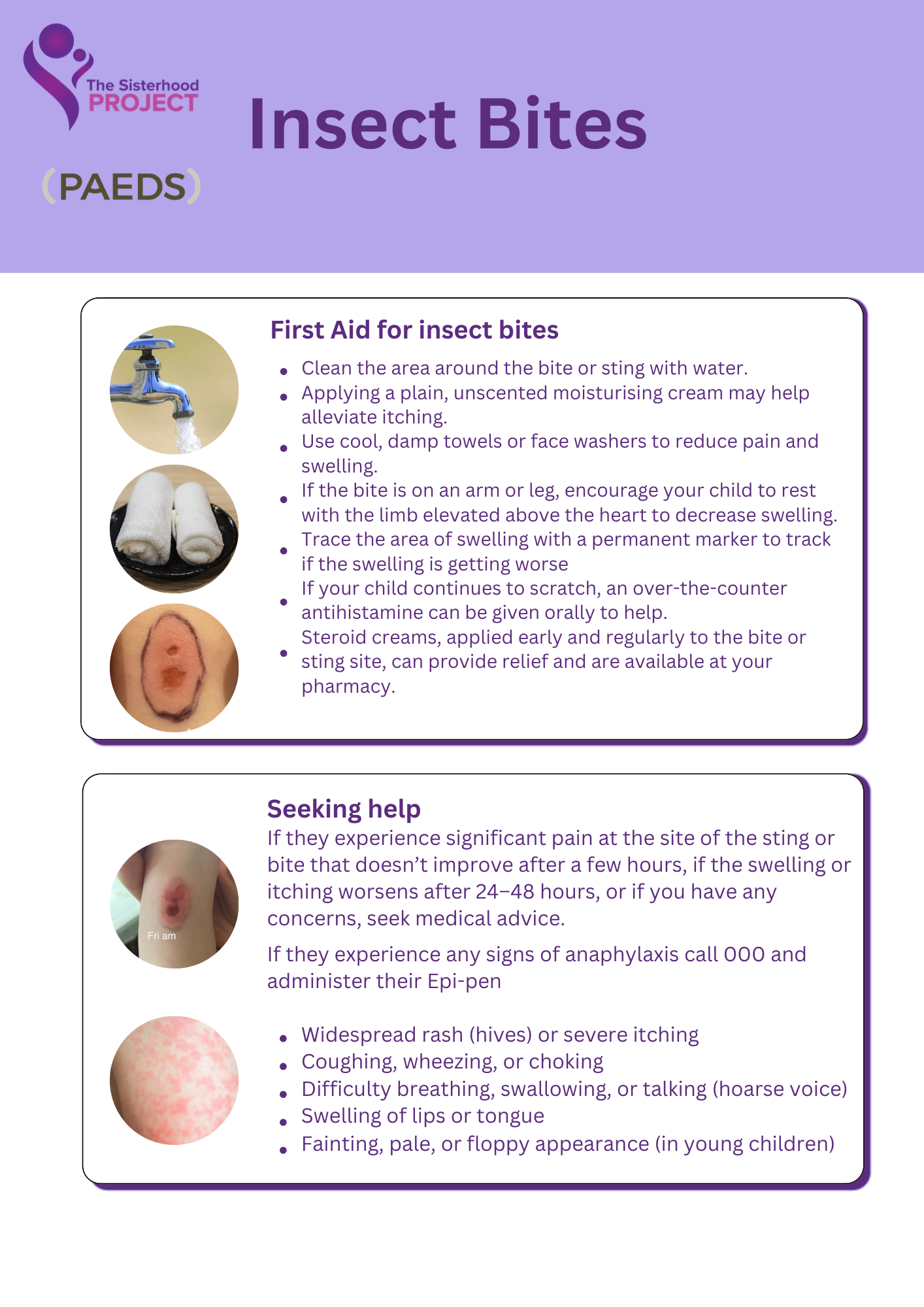 Insect Bite First Aid: What Parents Need to Know — The Sisterhood Project