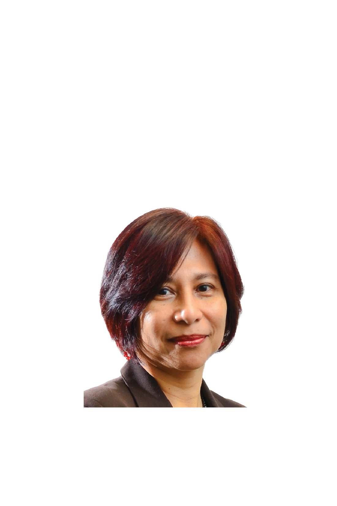 Climate Finance Summit