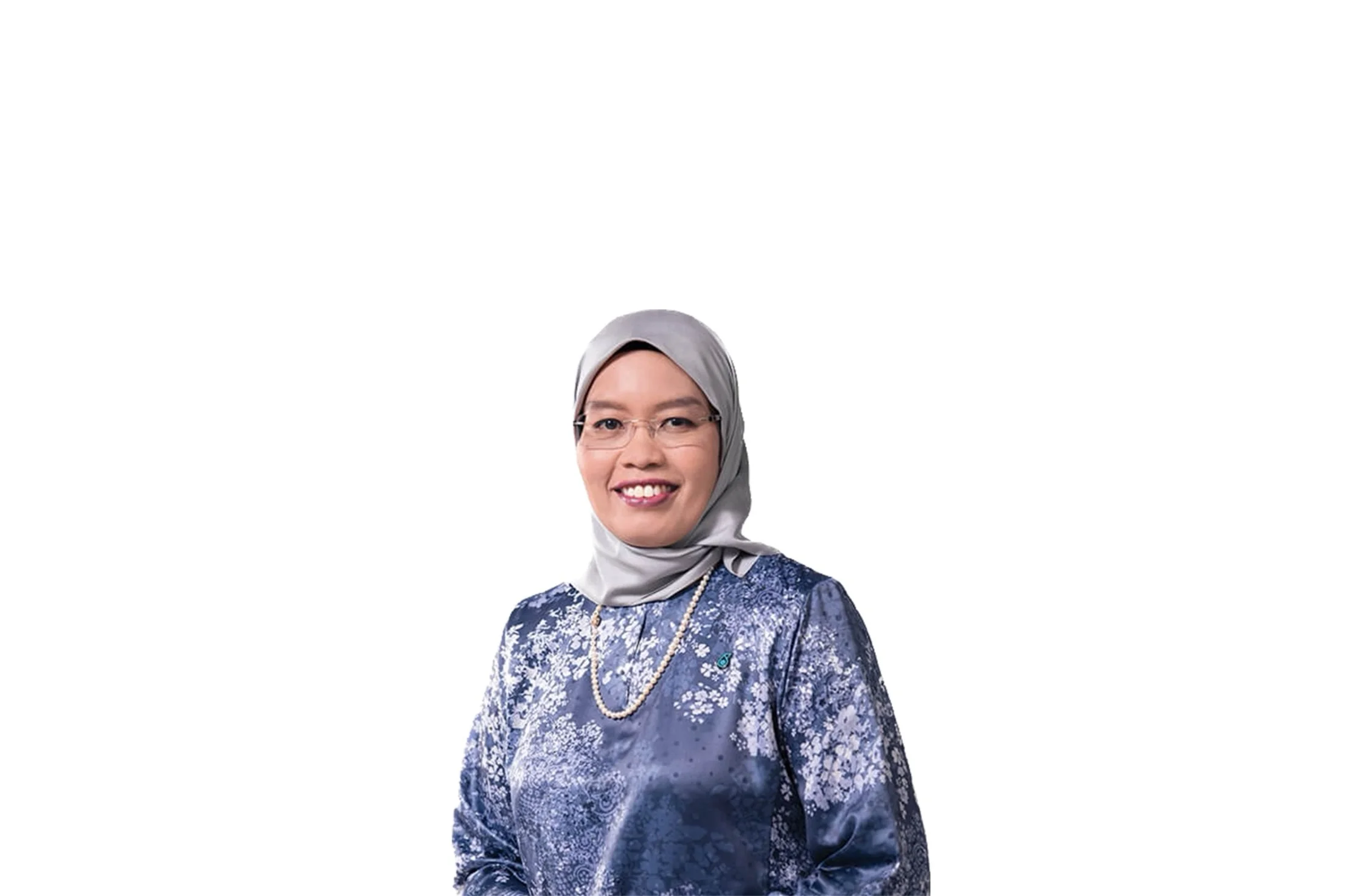 Climate Finance Summit