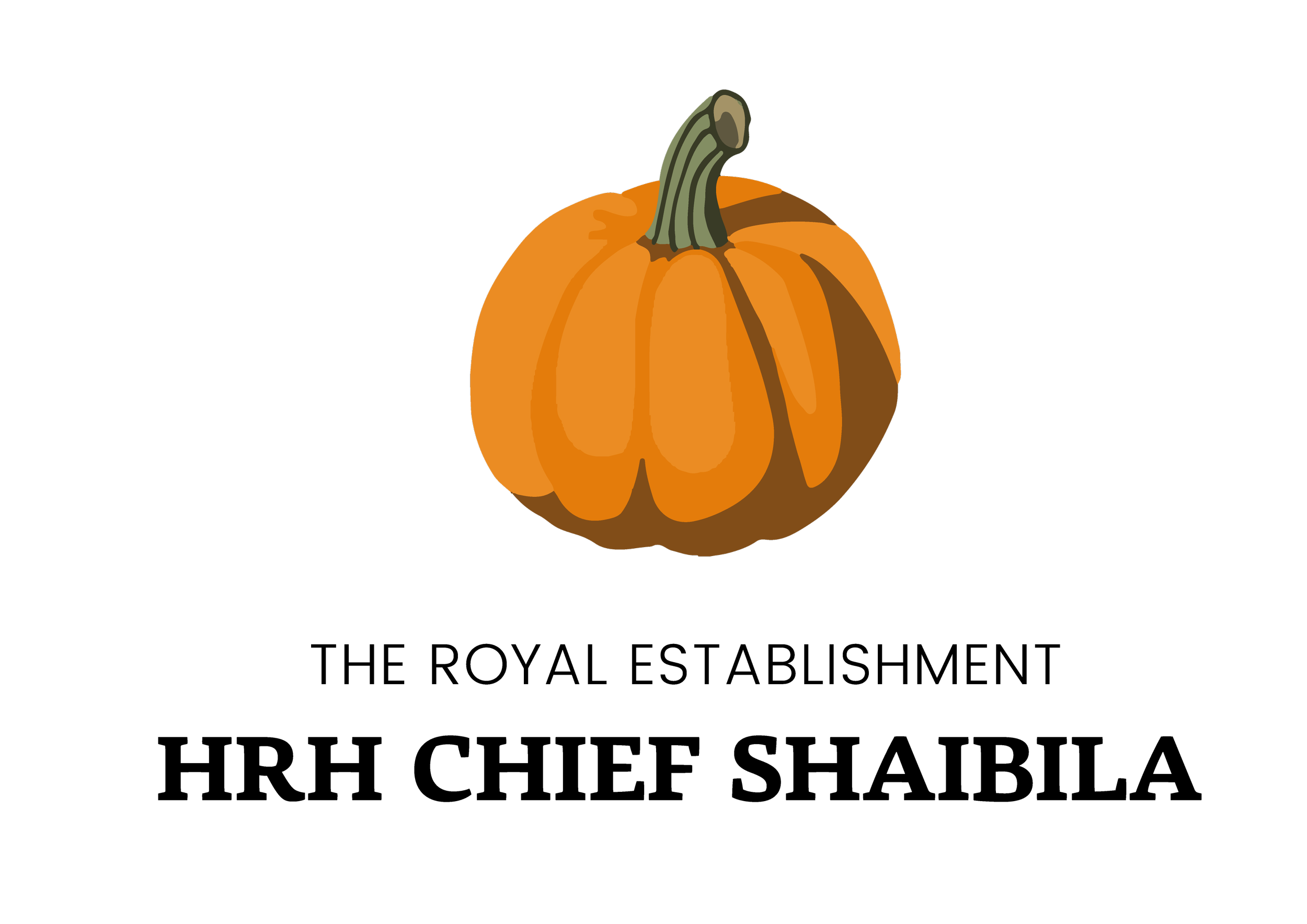 Our Partners — North Swaka Trust