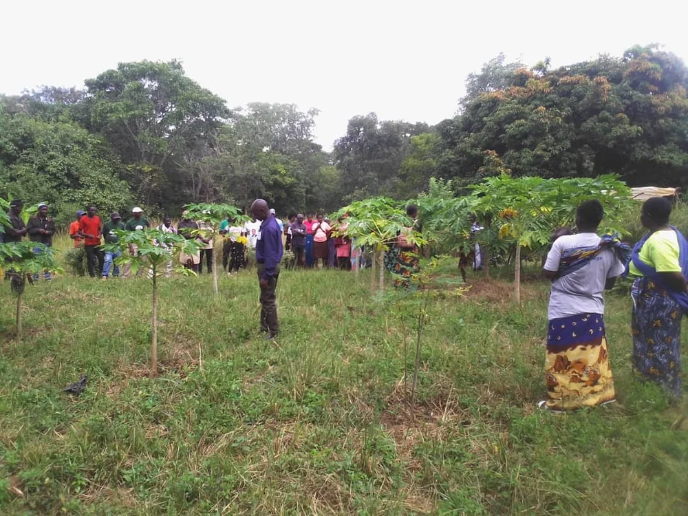Community Reforestation — North Swaka Trust