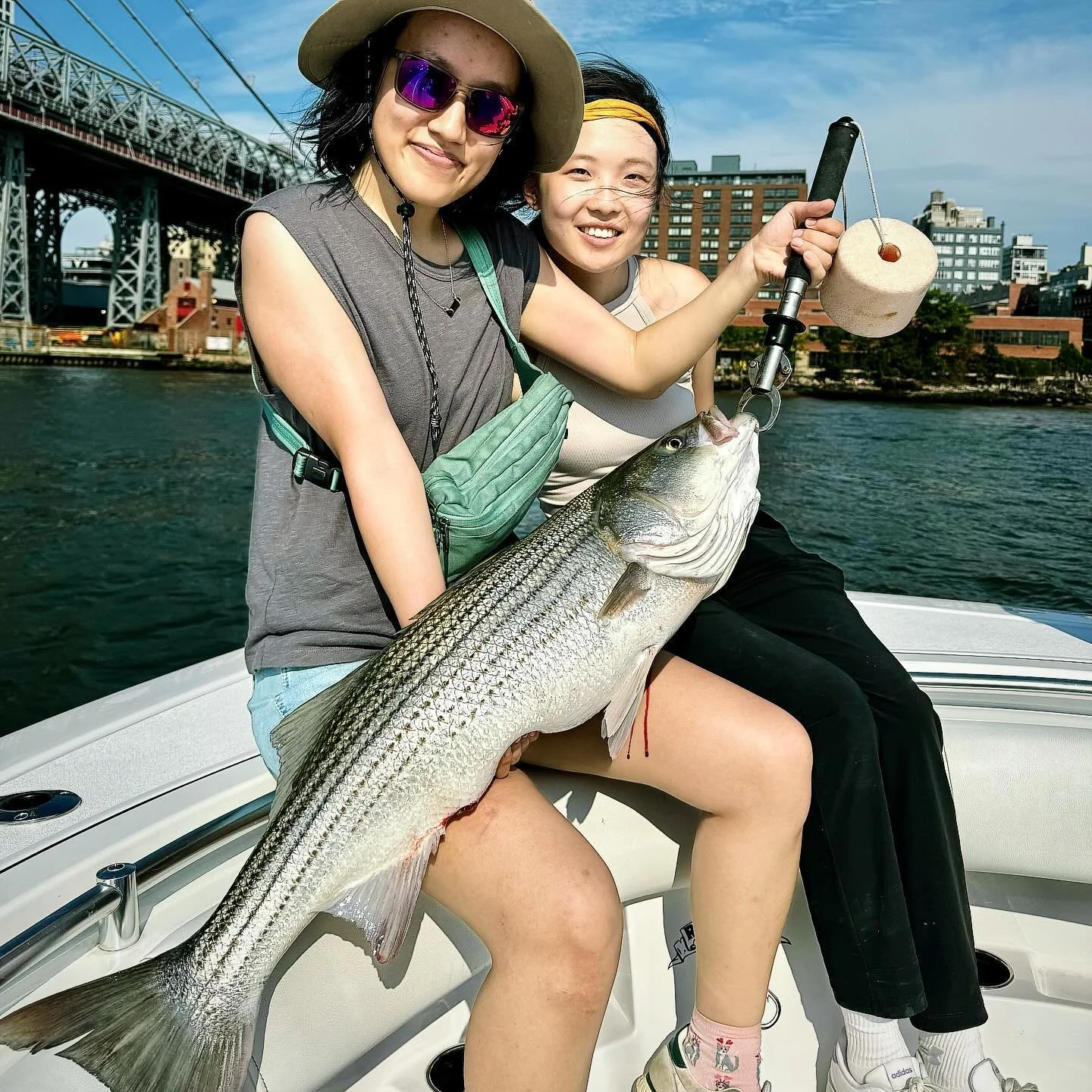 Fishing Reports — ROCKFISH CHARTERS