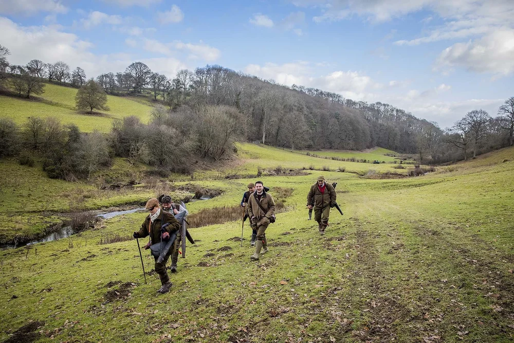 Driven pheasant shooting is a celebrated rural sport in the UK, steeped ...