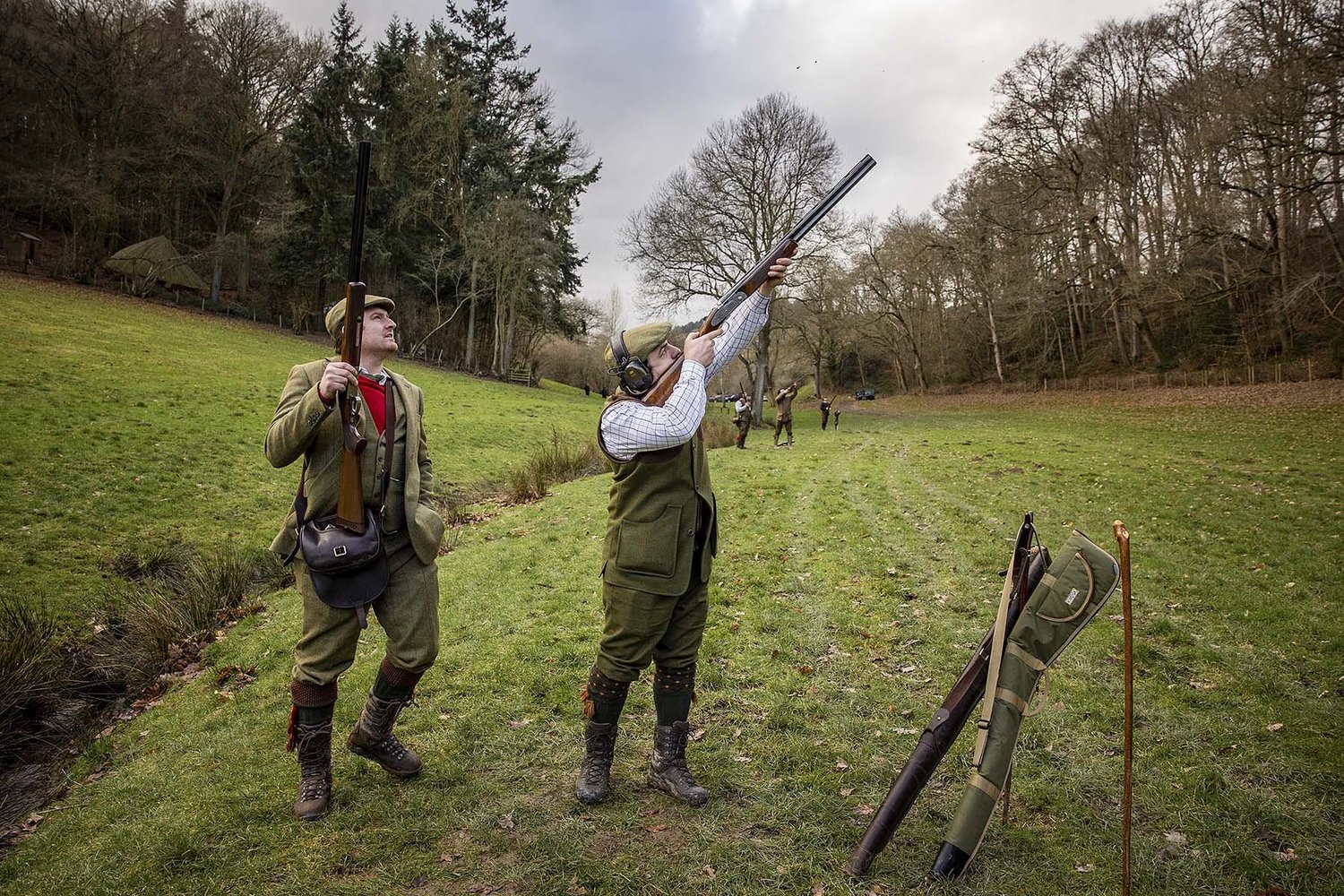 Driven pheasant shooting is a celebrated rural sport in the UK, steeped ...
